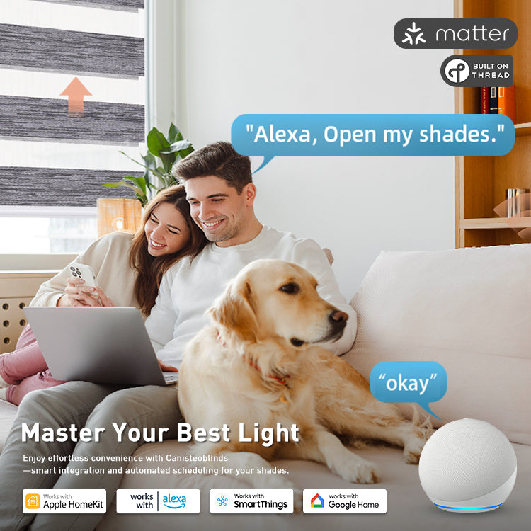 Canisteo Motorized Blinds – Canisteo Blinds